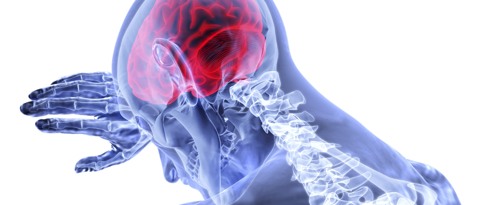 What are the 3 types of brain injuries?
