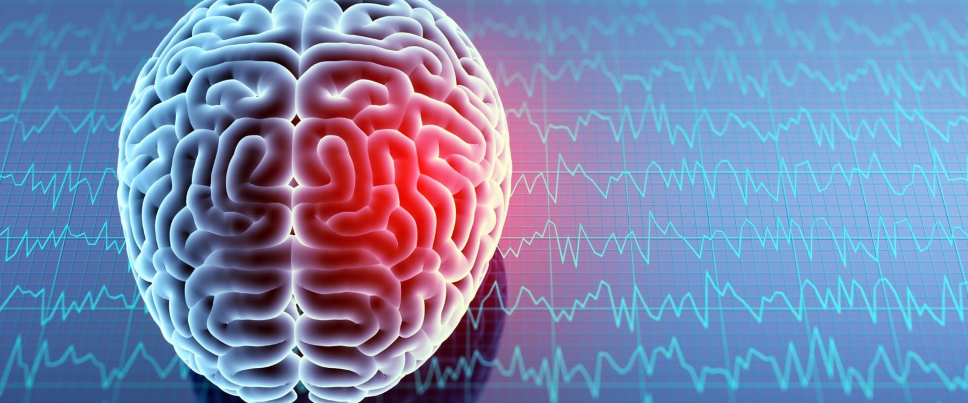 Is brain injury the same as brain damage?